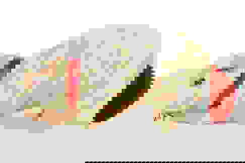 "tim" The Beaver: Mit 1930's Mascot Auction