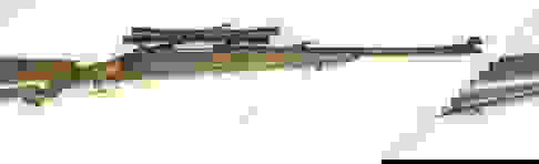 Winchester Model 70 225 Rifle Auction
