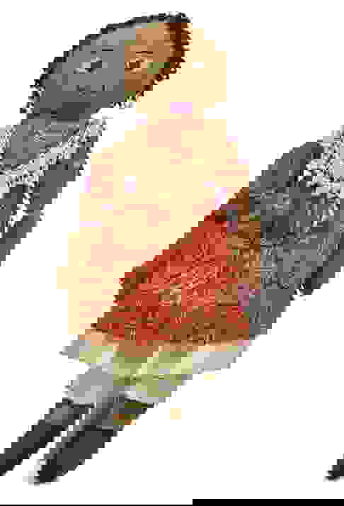 Homemade Black Raggedy Ann Style Doll Auction