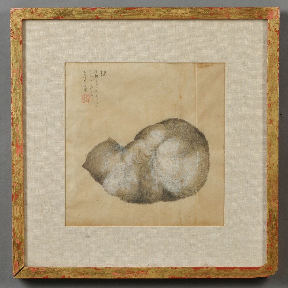 Framed Painting Depicting a Tanuki, Japan, ink and - Feb 03, 2014 ...