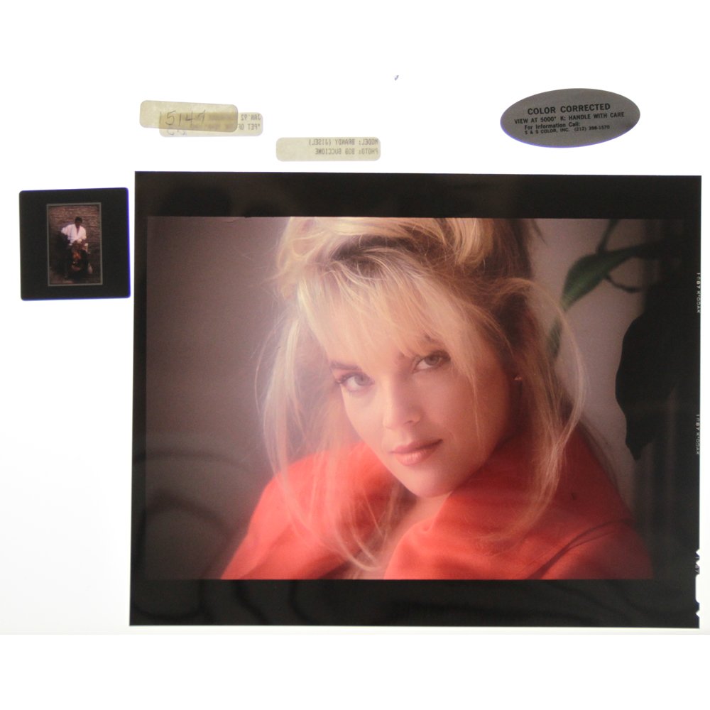 1992 Pet Of The Year Brandy Ledford Photo Trans & 35mm