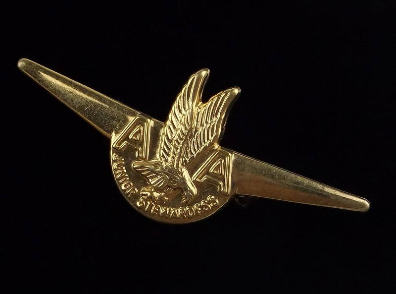 Mint Vintage Metal American Airlines Wings Pin Brooch Auction