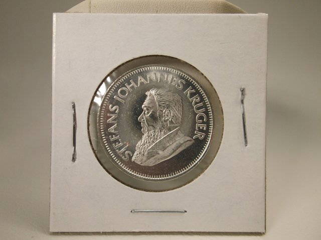 1/4 Troy Oz Fine Silver Kruger Coin