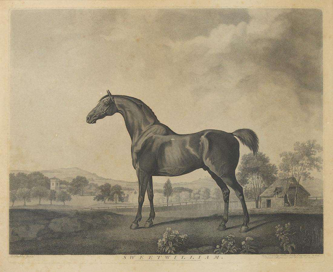 Print, George Stubbs