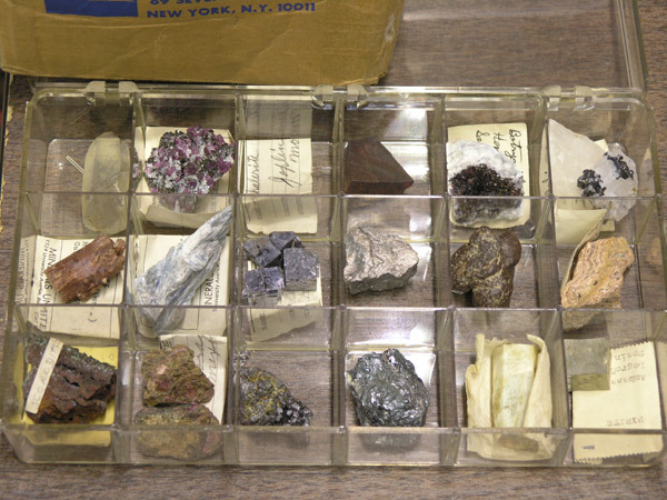 Specimen Boxes And Jars