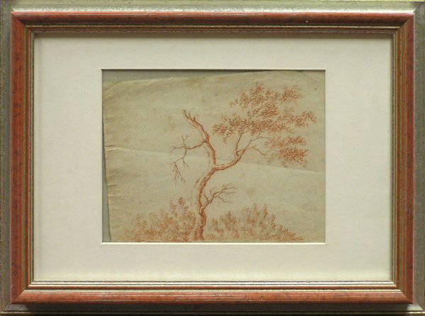 Conte Crayon Drawing Tree 18th Century
