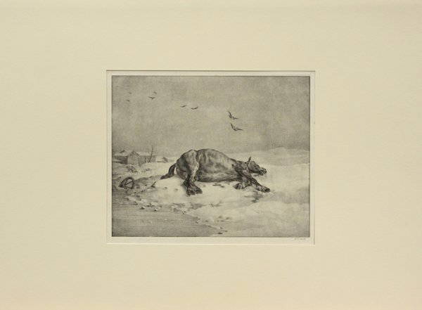 Lithographs, Gericault, Animal