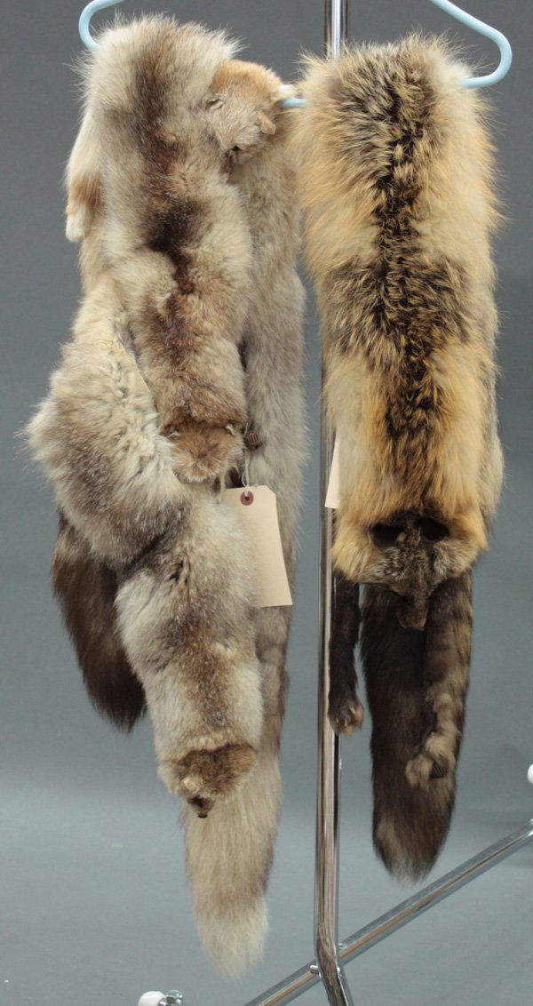 4241: Vintage fox wrap