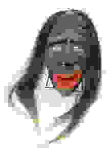 Carved Mohawk False Face Mask