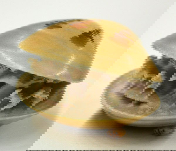 6620: Japanese Ivory Okimono, Clam Shell Landscape