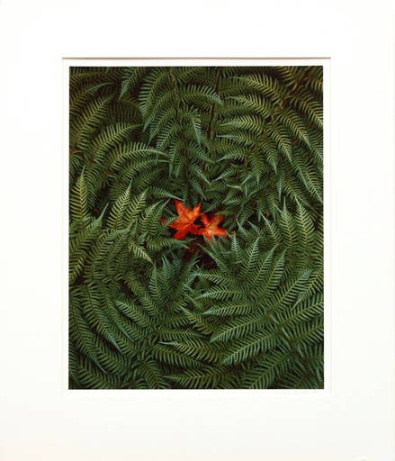 Photograph, Clinton Smith