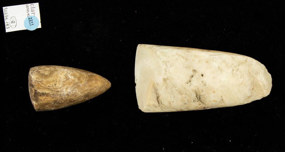 Shell adze and a stone implement (#2211) on Jan 14, 2023 | Clars ...