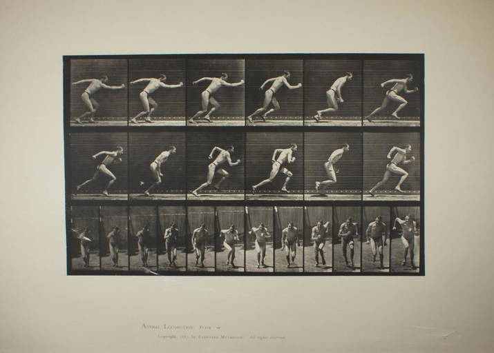 Print, Eadweard Muybridge (#4448) on Feb 10, 2023 | Clars Auction ...