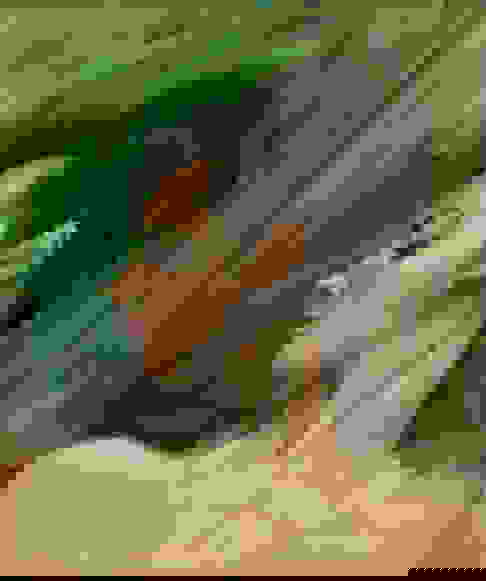 Watercolor, Olin Howland Auction