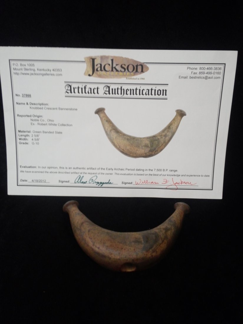 Knobbed Crescent Bannerstone With Jackson Coa
