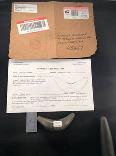 Clovis With Gregory Perino Coa