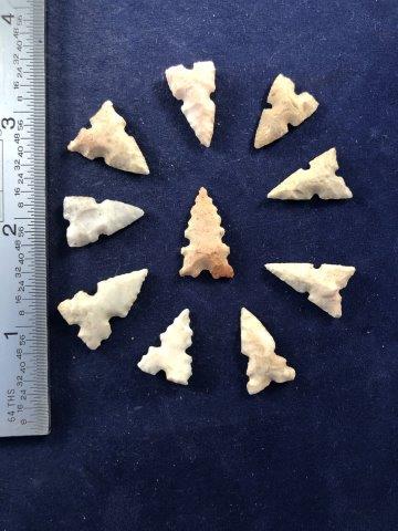 10 Cahokia Points Indian Artifact Arrowhead