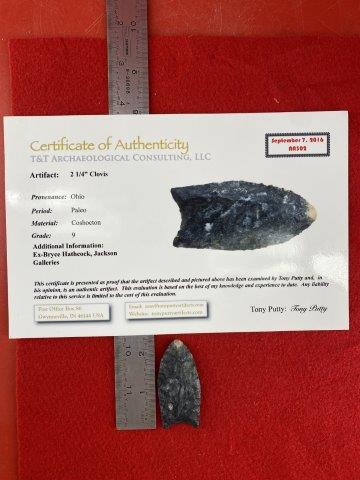 Clovis With Coa Auction