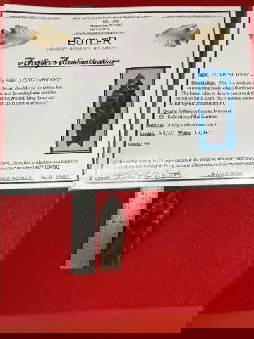 Clovis With Coa Auction