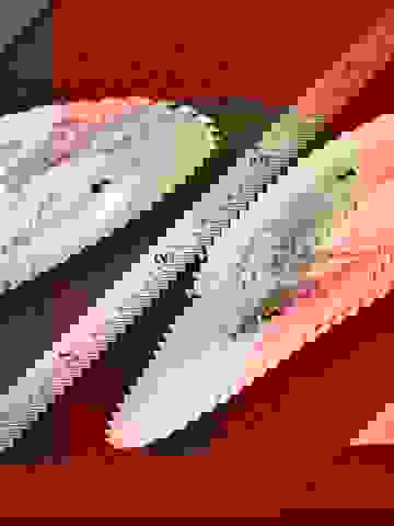 Shell Death Mask Indian Artifact Arrowhead Auction