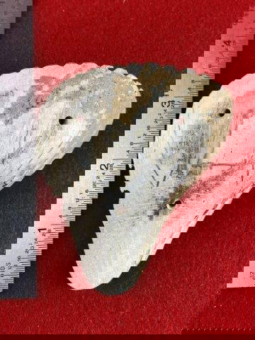 Shell Death Mask Indian Artifact Arrowhead Auction