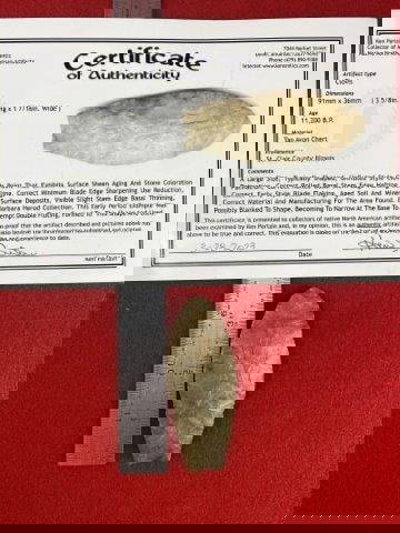 Clovis With Coa Auction