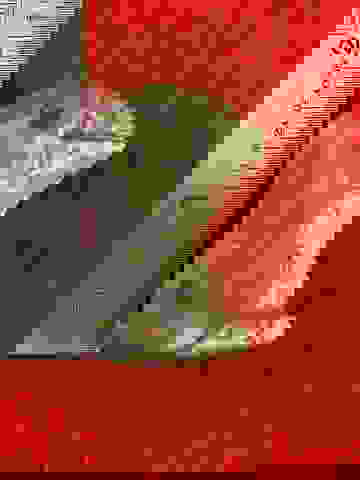 Stone Bird Effigy Indian Artifact Arrowhead Auction