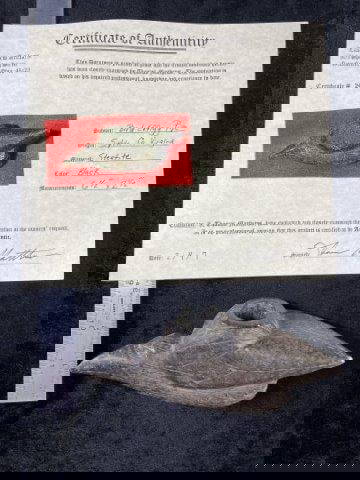 Bird Effigy Stone Pipe With Coa