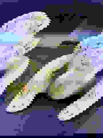 Pre-columbian Human Effigy Auction