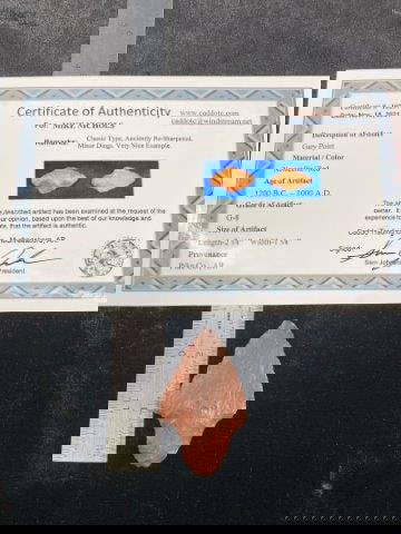 Gary Point With Coa Auction