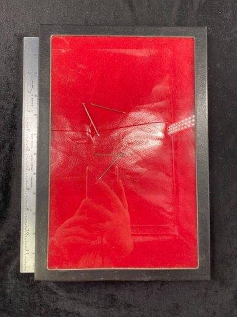 12 X 8 Used Riker Frame Auction