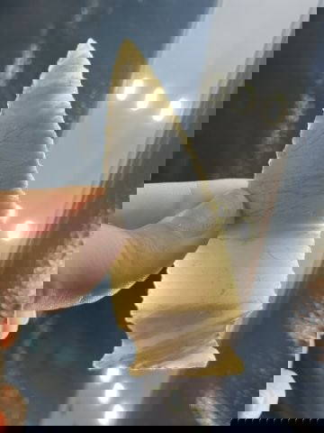 Side Notch Indian Artifact Arrowhead Auction