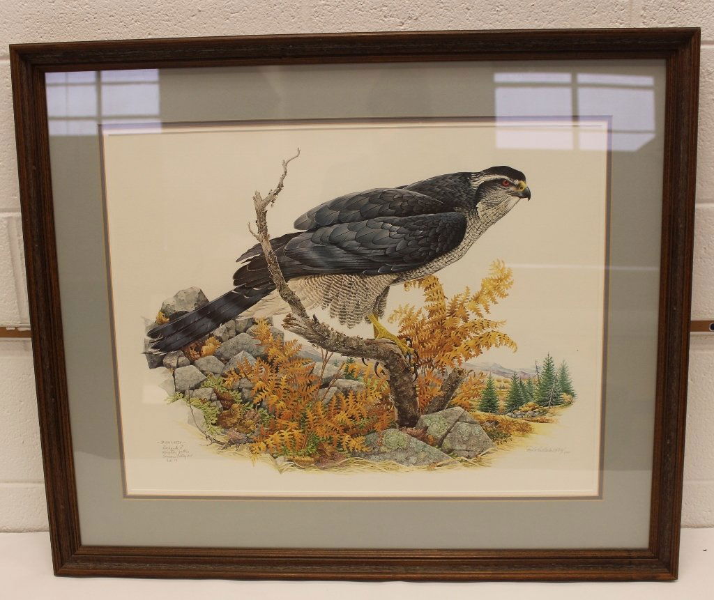 Don Whitlatch ' Goshawk ' Signed Print