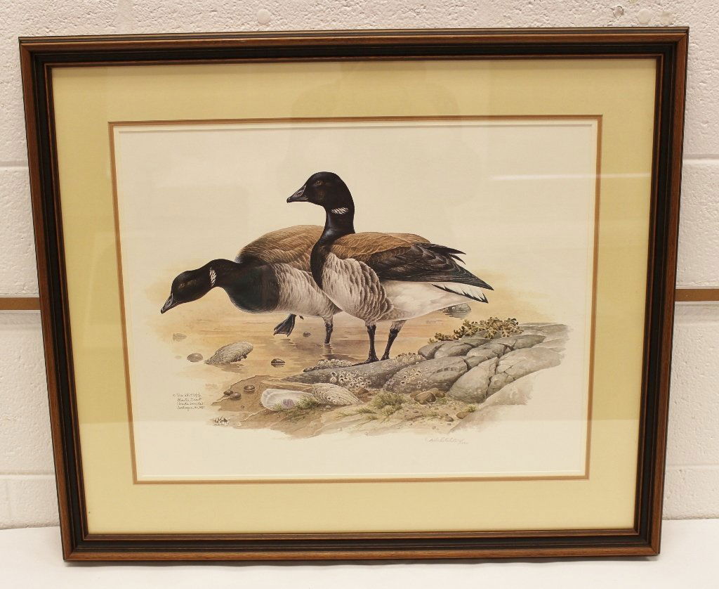 Don Whitlatch ' Goshawk ' Signed Print - May 24, 2014 | Old Dominion ...