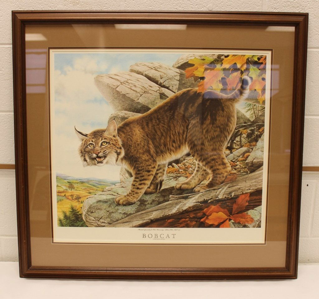 Don Whitlatch ' Bobcat ' Signed Print