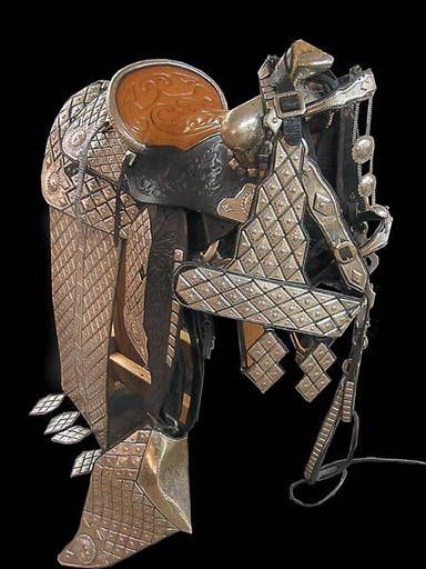 Ted Flowers Complete Parade Saddle