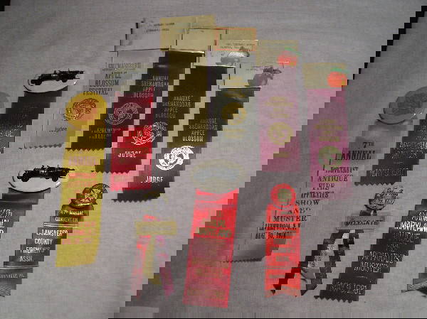Antique Fire Apparatus Show And Convention Ribbons