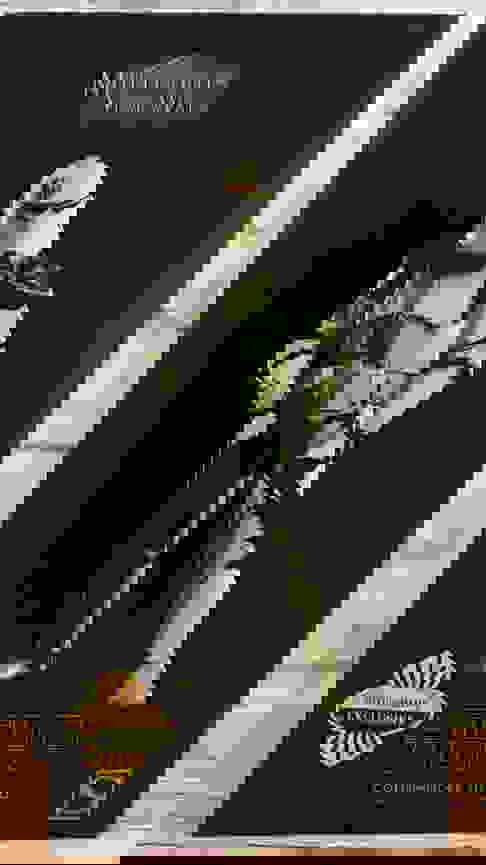 Sideshow Militaries Of Star Wars Commander Neyo Auction