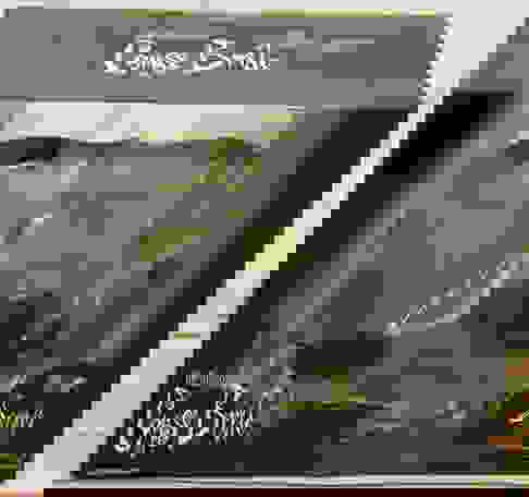 Tim Burton's Corpse Bride Scraps Collection Doll Auction