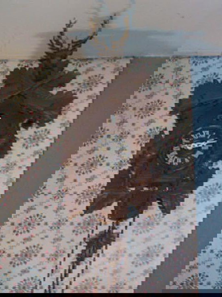 German Coo Coo Clock Face Marked Germany With A Deer