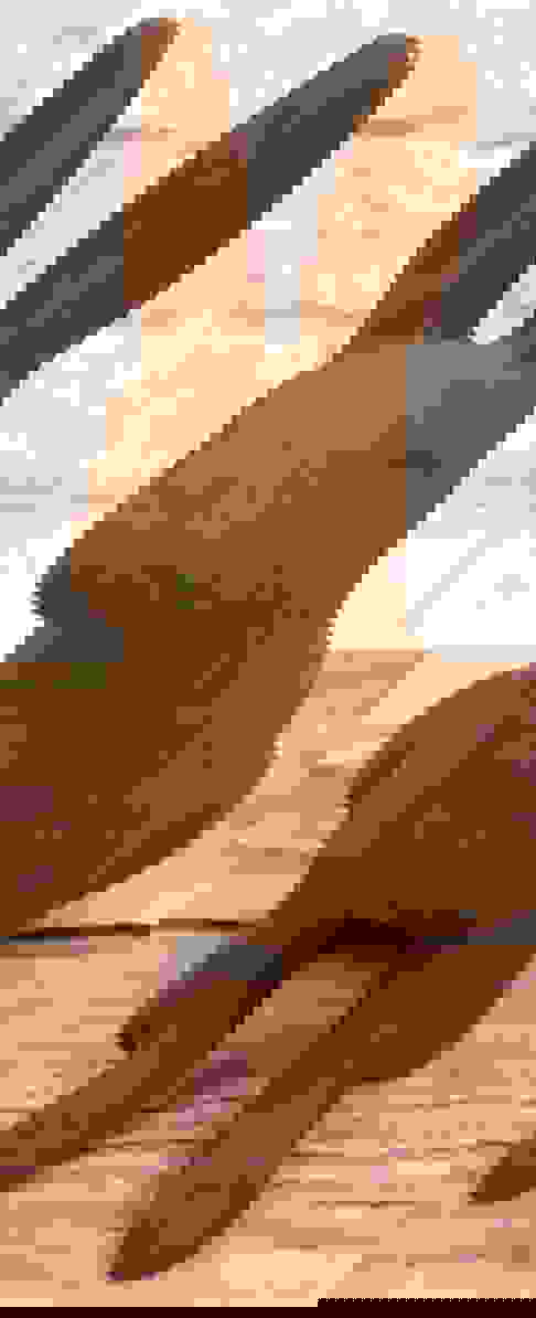 Cast Iron Bunny Rabbit Auction