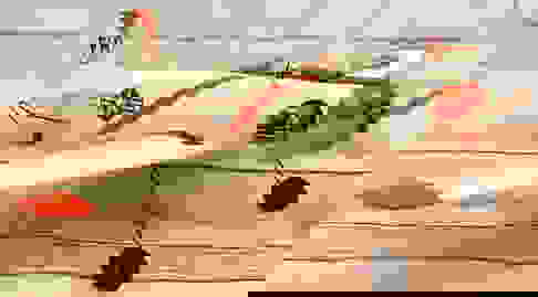 Vintage Gas Powered Model Airplane Auction