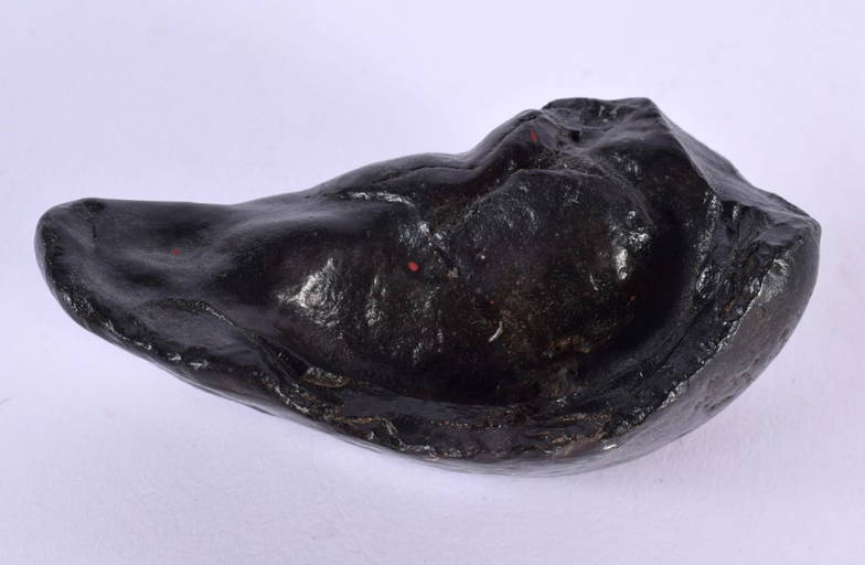 An Early Fossilised Whales Eardrum. 8 Cm Wide.