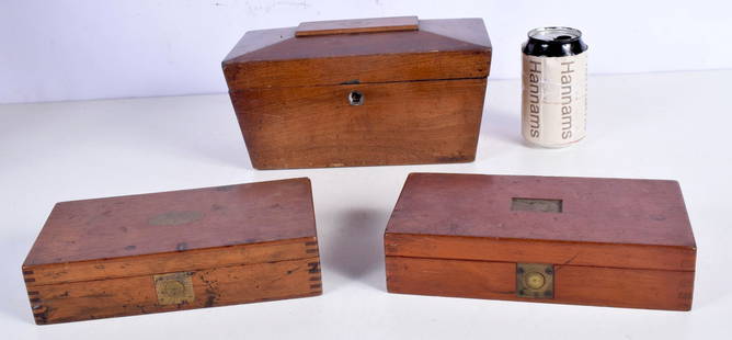 Antique Rosewood Sarcophagus Tea Caddy Auction