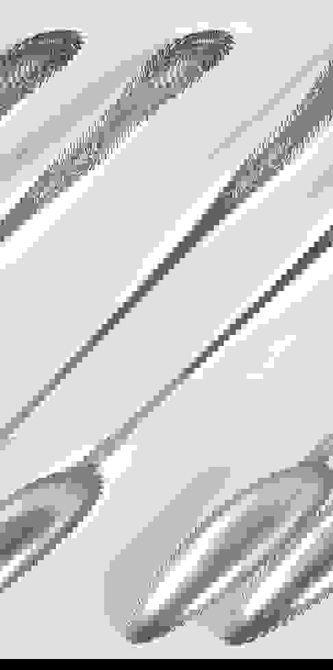 A Very Large Pair Of Mid 19th Century Scottish Silver Basting Spoons ...