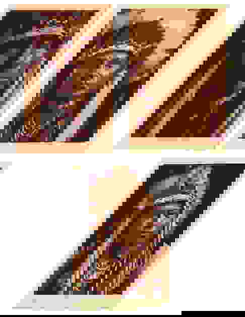 Edward S. Curtis, Group Of Three Male Portraits: A Nez Perce, 1910 + A ...