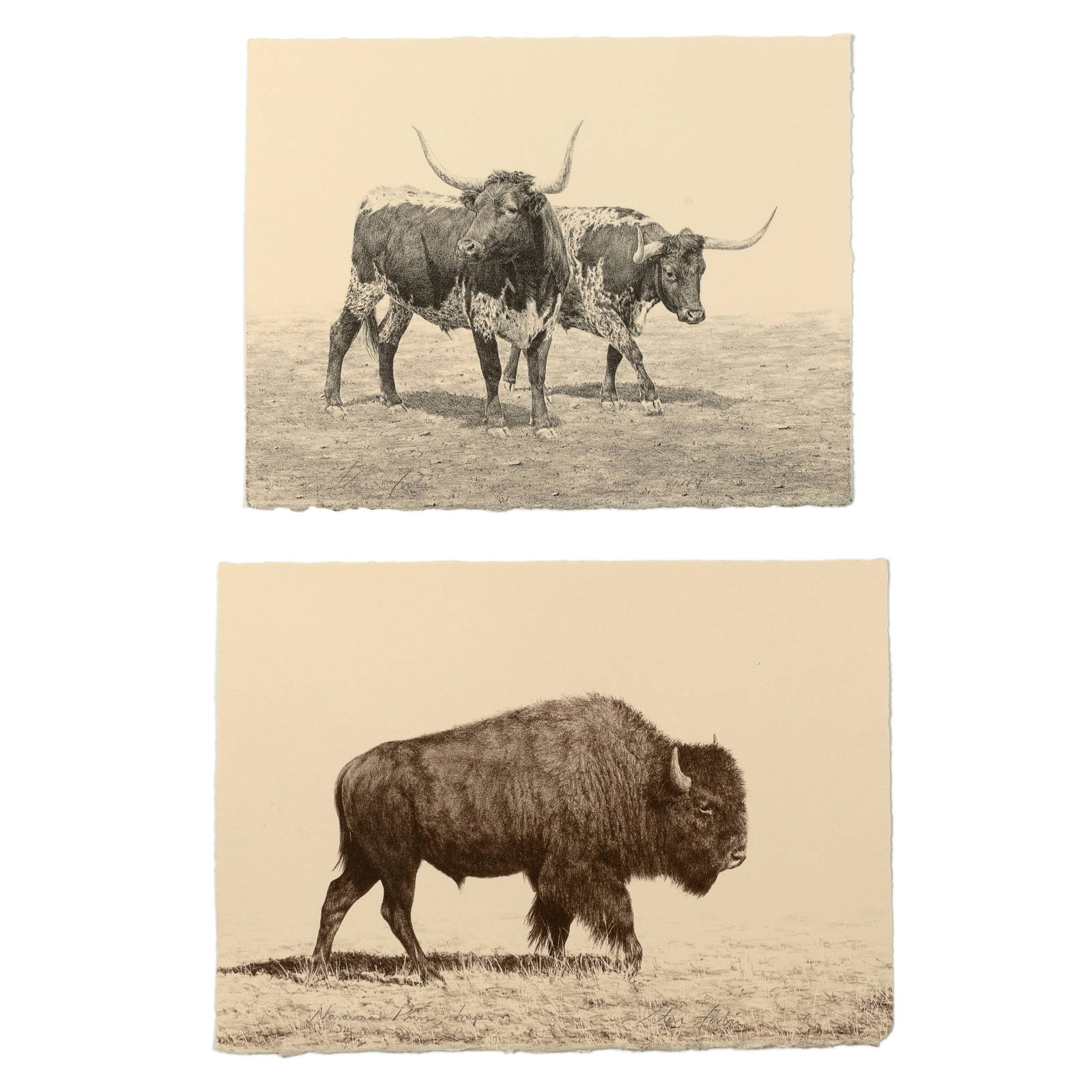 Steve Forbis, Pair Of Lithographs: Pride Of Texas + Untitled (buffalo ...