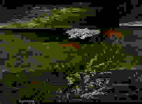 Ford Ruthling, Field Of Grain At Night With Moth, 1966 Auction