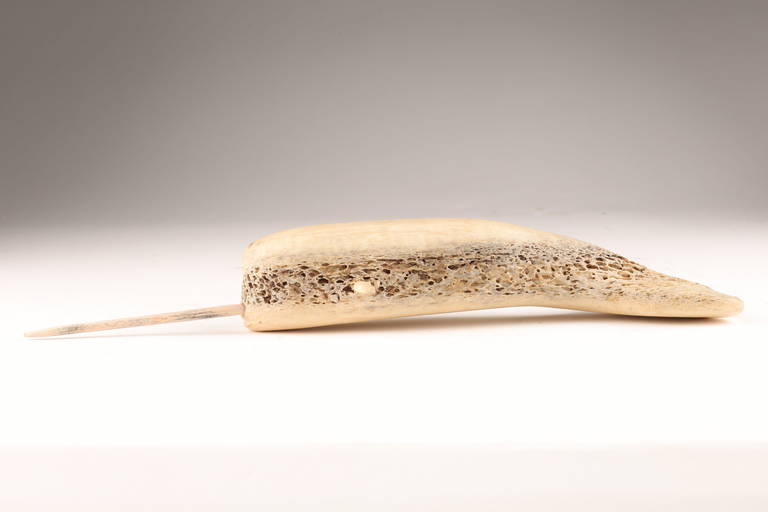 Inuit Carved Whale Bone Sculpture Of A Narwhal