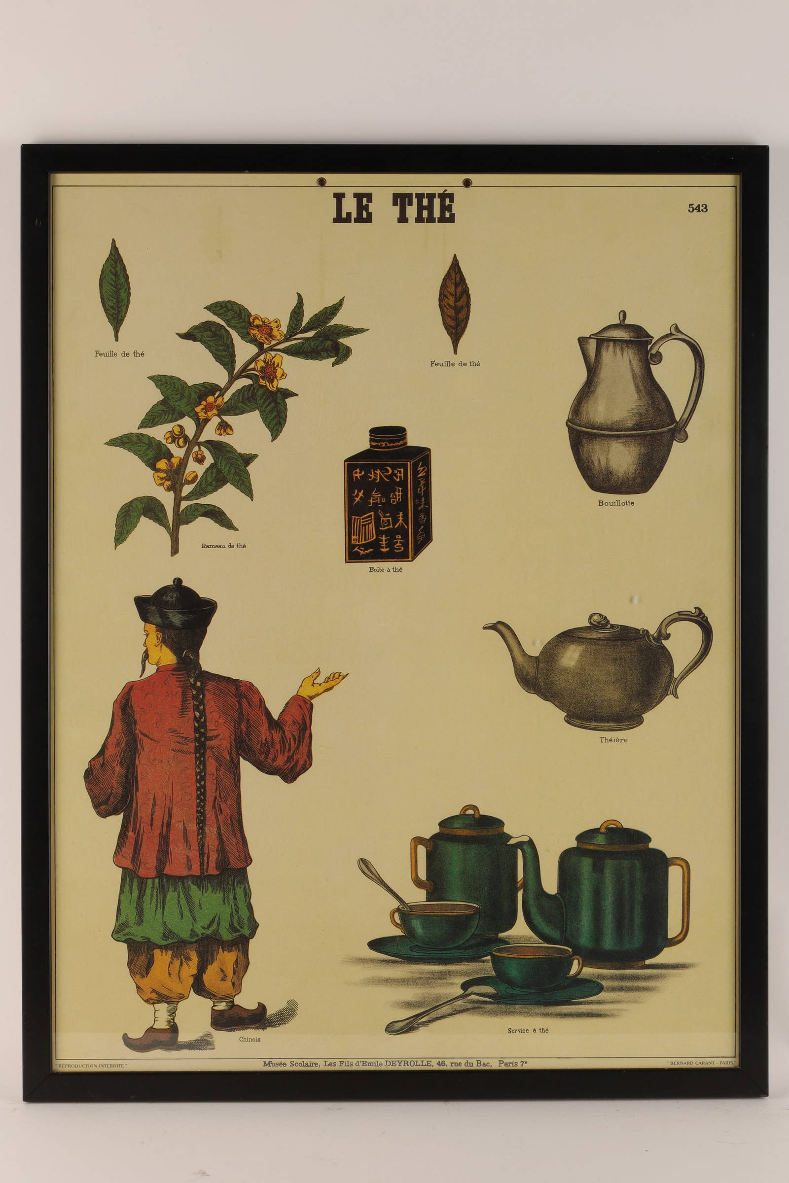 Vintage French Educational Poster Tea / Le The 543 Auction